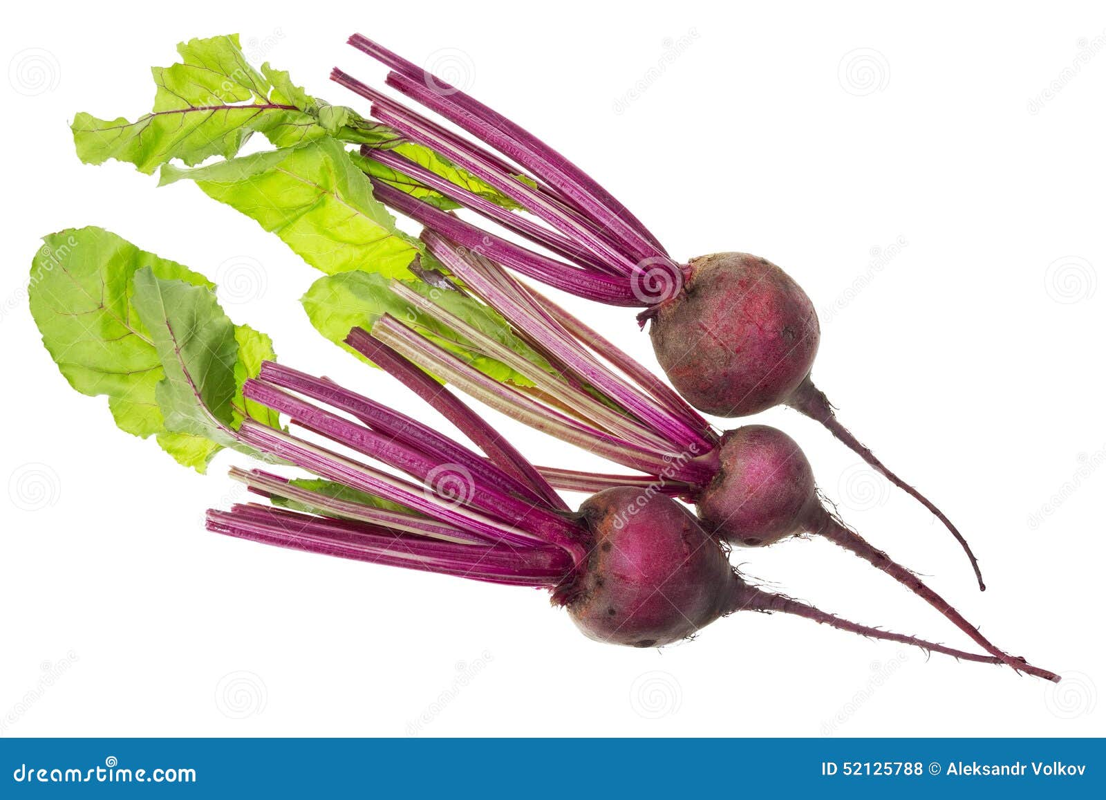 Spring Roots and Leaves of Red Beet Stock Photo - Image of root, violet ...