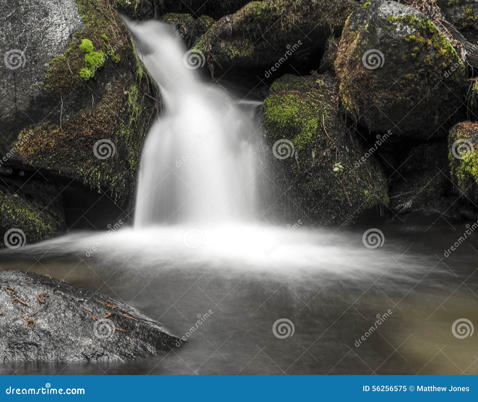 Spring Runoff, Sequoia National Forest Stock Image - Image of quiet ...