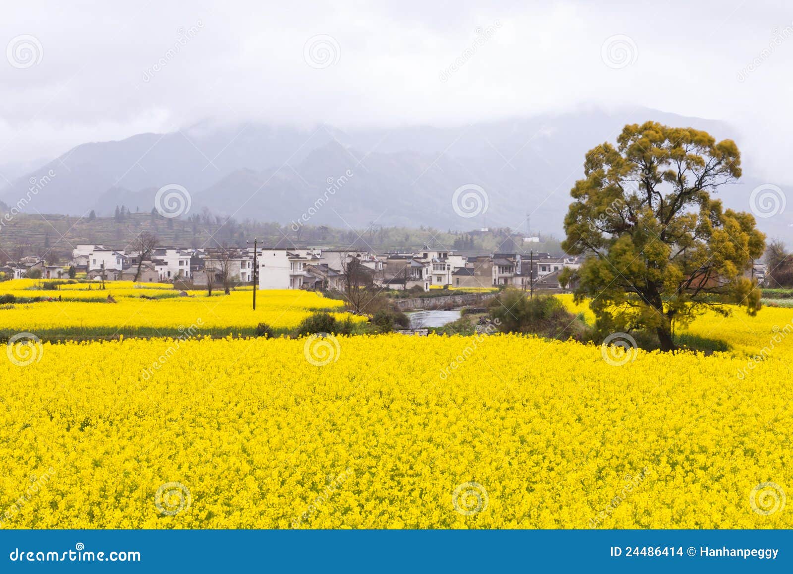 Spring rural landscape stock photo. Image of landscape - 24486414