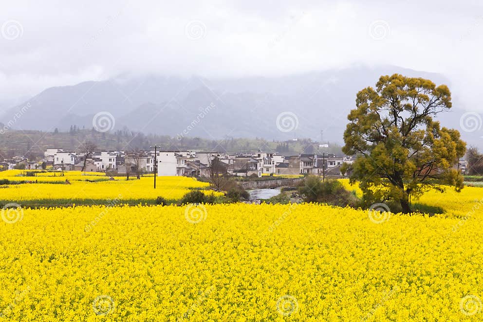 Spring rural landscape stock photo. Image of landscape - 24486414