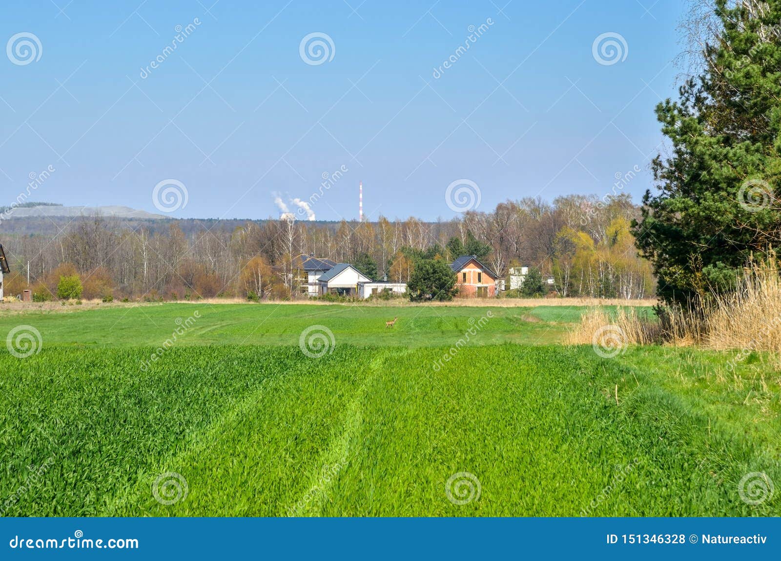 Spring rural landscape. stock photo. Image of construction - 151346328