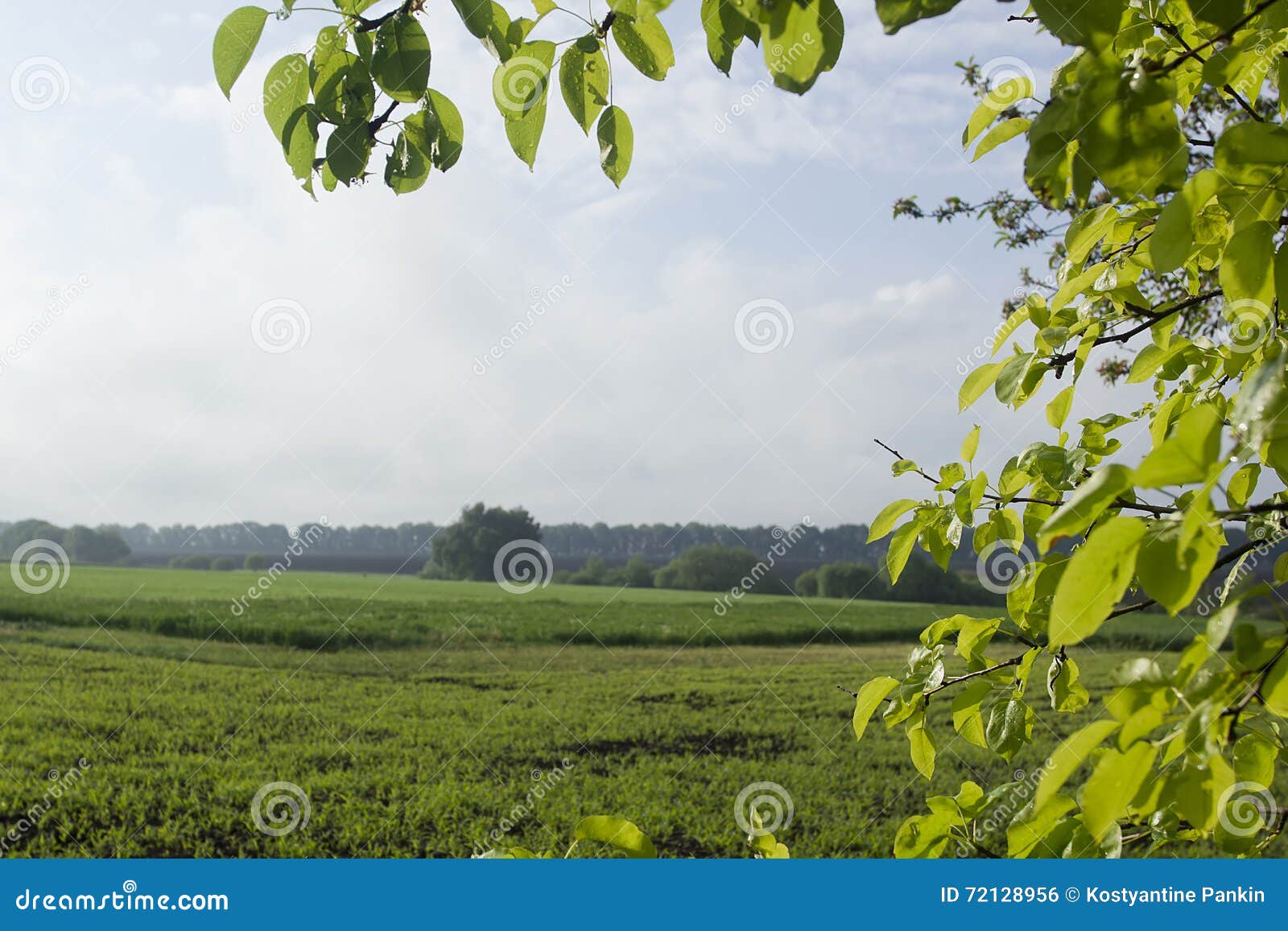 Spring rural landscape stock photo. Image of farming - 72128956