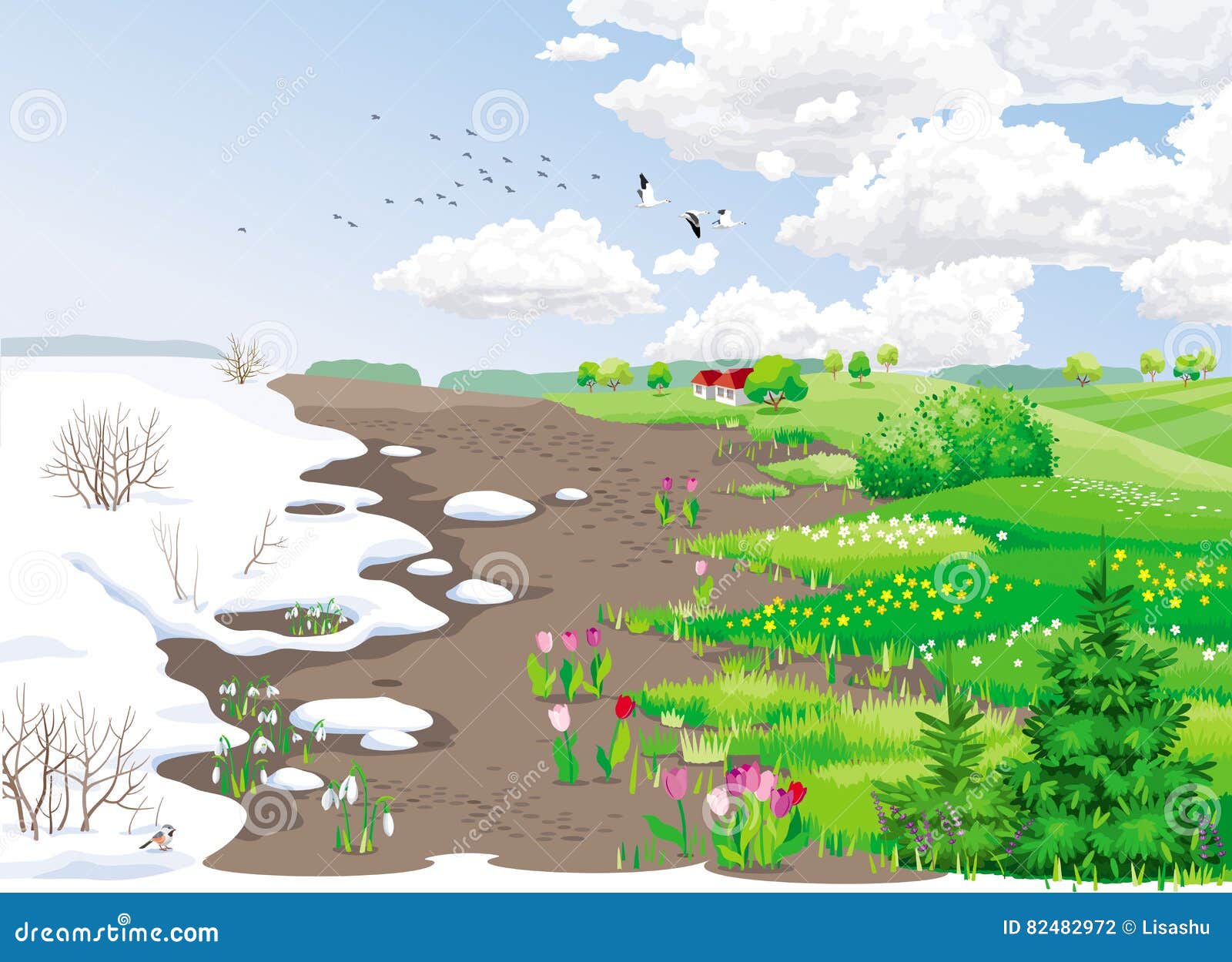 Spring Rural Landscape With Flowering Trees. Vector Illustration ...