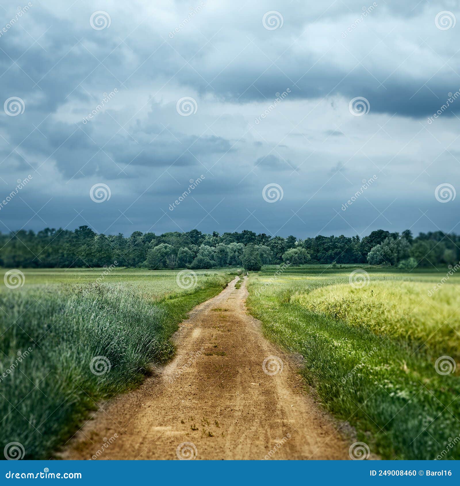 Spring Rural Landscape with Pathway before Rain Stock Photo - Image of ...