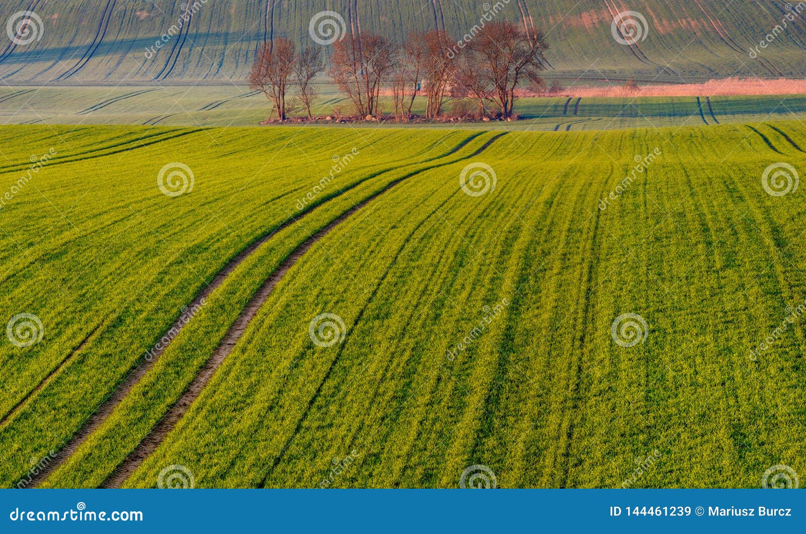 Spring Rural Landscape,rolling Green Hills Stock Image - Image of ...