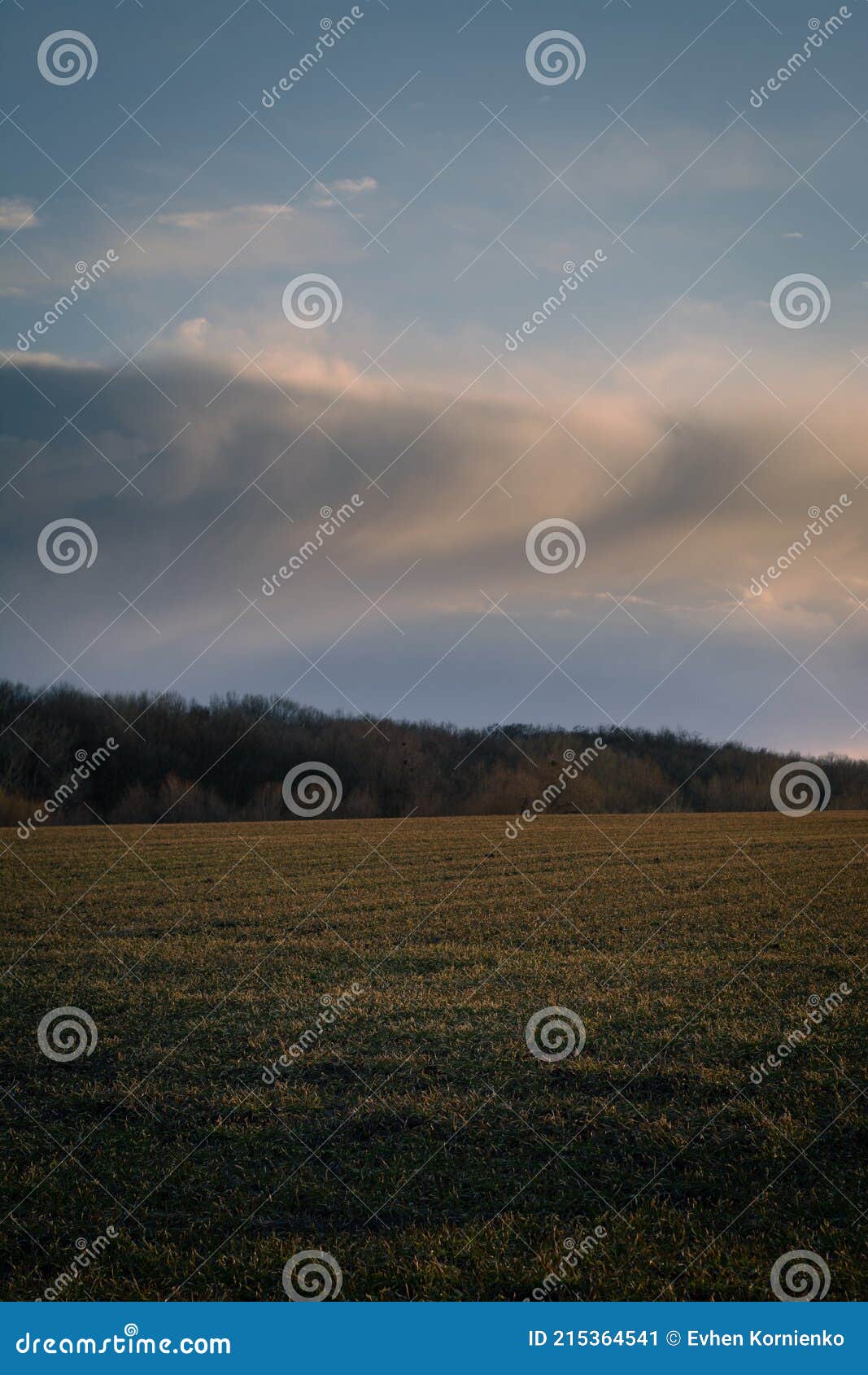 Spring rural landscape stock image. Image of horizon - 215364541