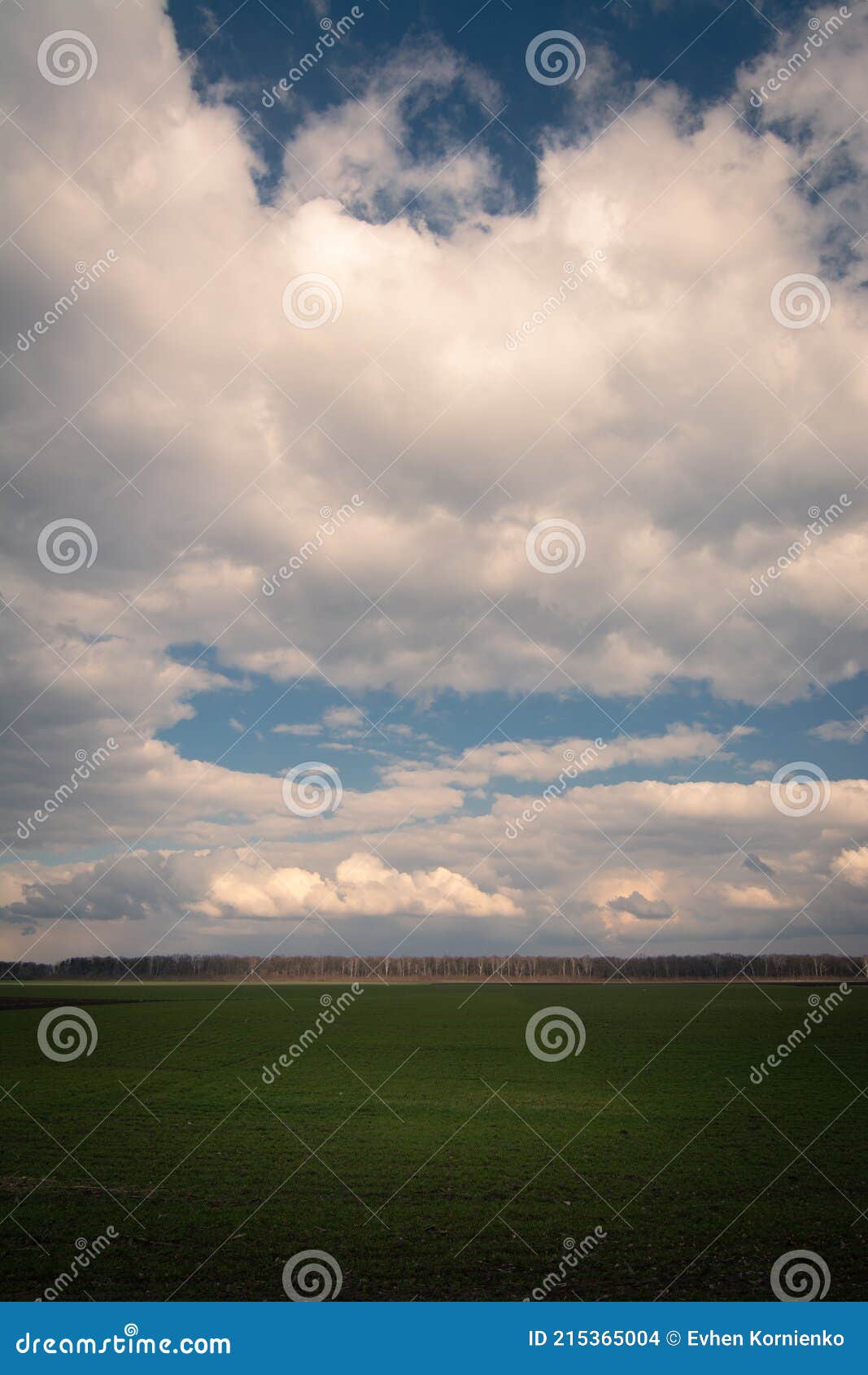 Spring rural landscape stock photo. Image of spring - 215365004