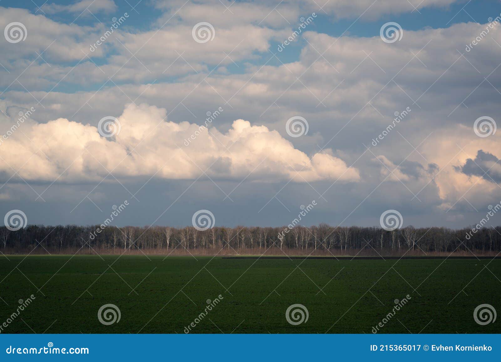 Spring rural landscape stock image. Image of view, hill - 215365017