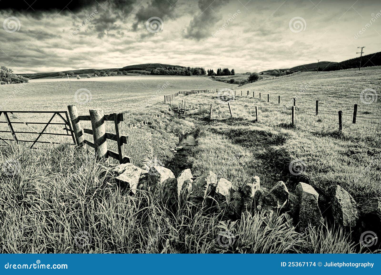 Spring Rural Landscape with Stone Wall, Scotland Stock Photo - Image of ...