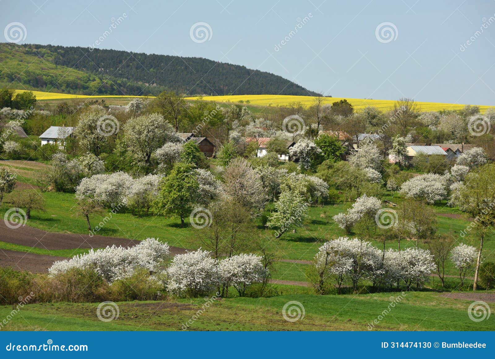 Spring Rural Landscape. Spring in the Ukrainian Village Stock Photo ...