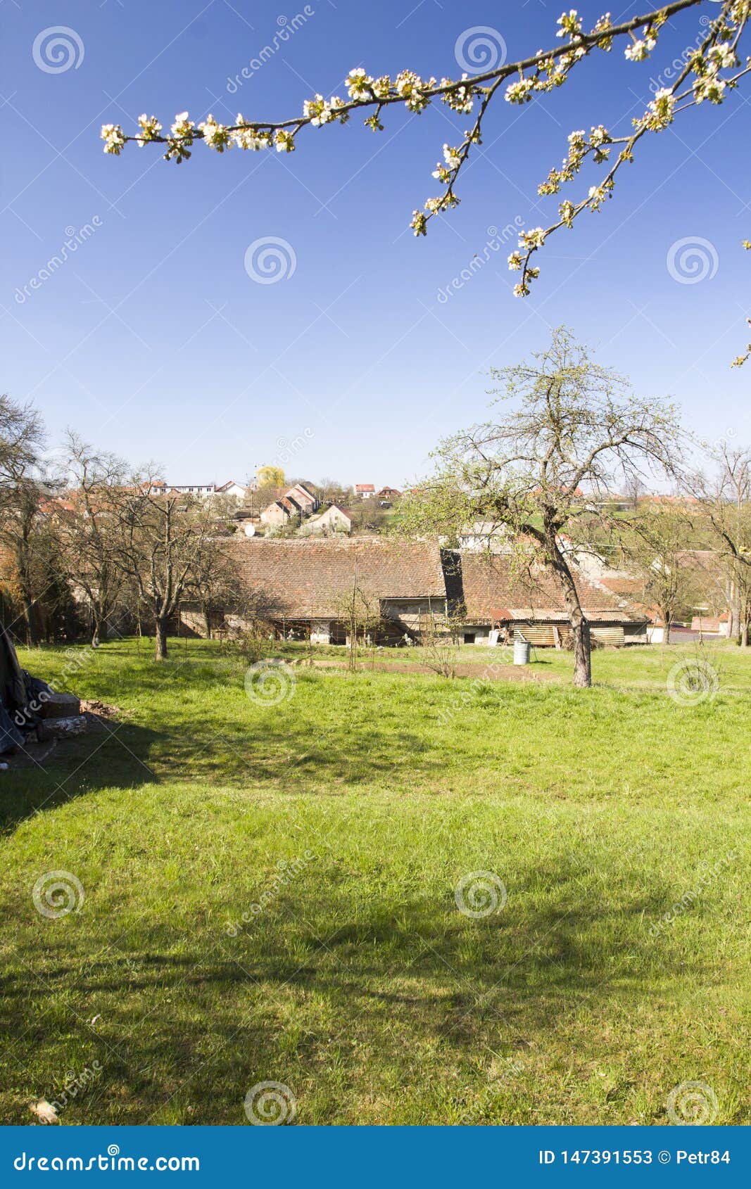 Spring Rural Landscape in Village Stock Image - Image of tree, rural ...