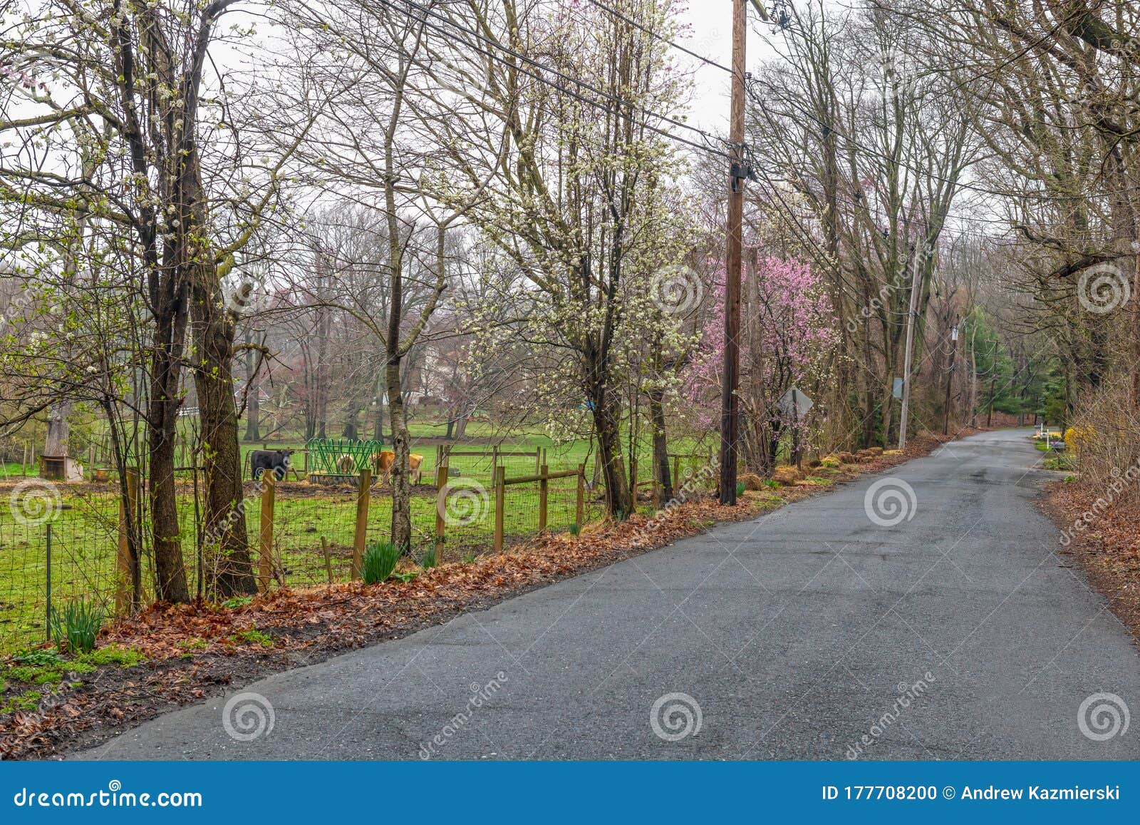 Spring Rural Road stock photo. Image of americana, farm - 177708200