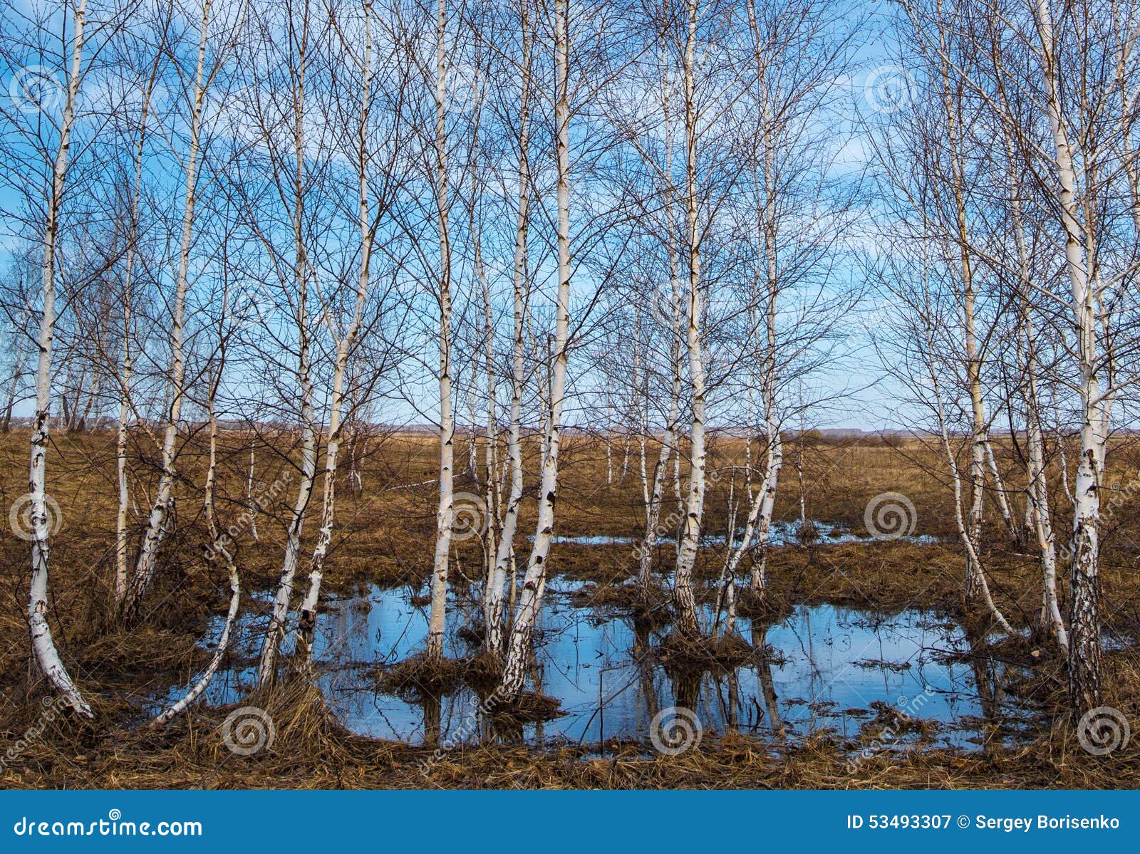 Spring in Russia stock image. Image of water, white, silhouette - 53493307