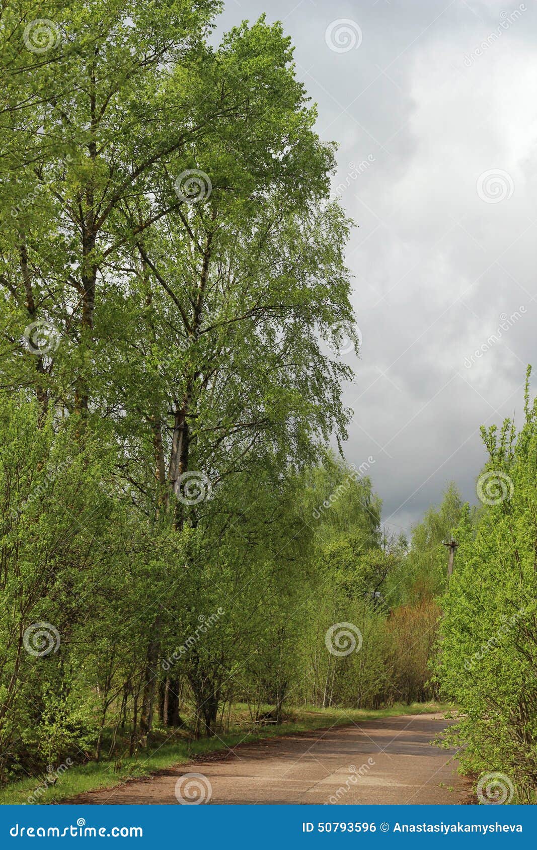 Spring in Russia stock photo. Image of landscape, root - 50793596