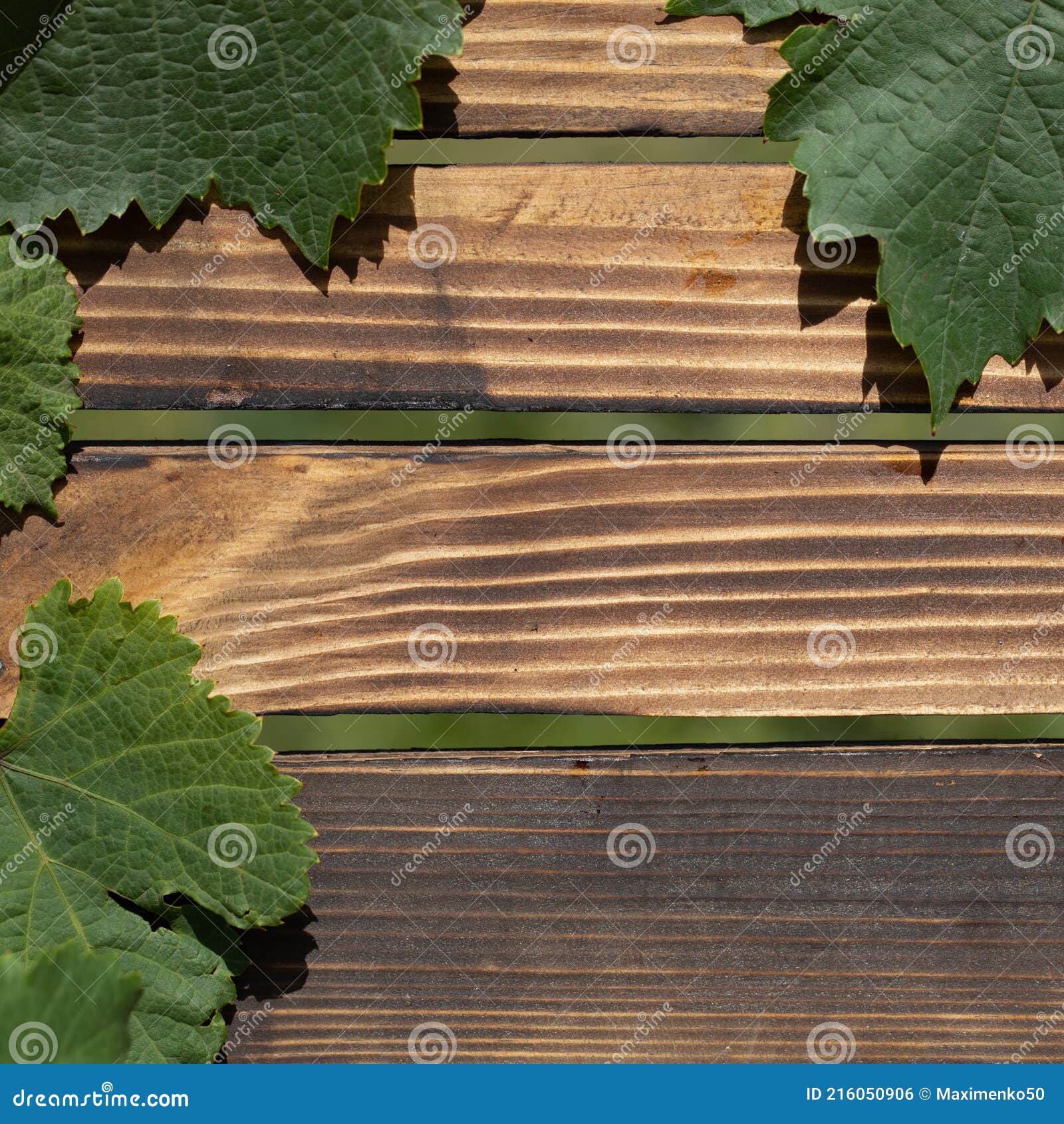 Spring Rustic Wooden Background with Green Leaves Stock Photo - Image ...