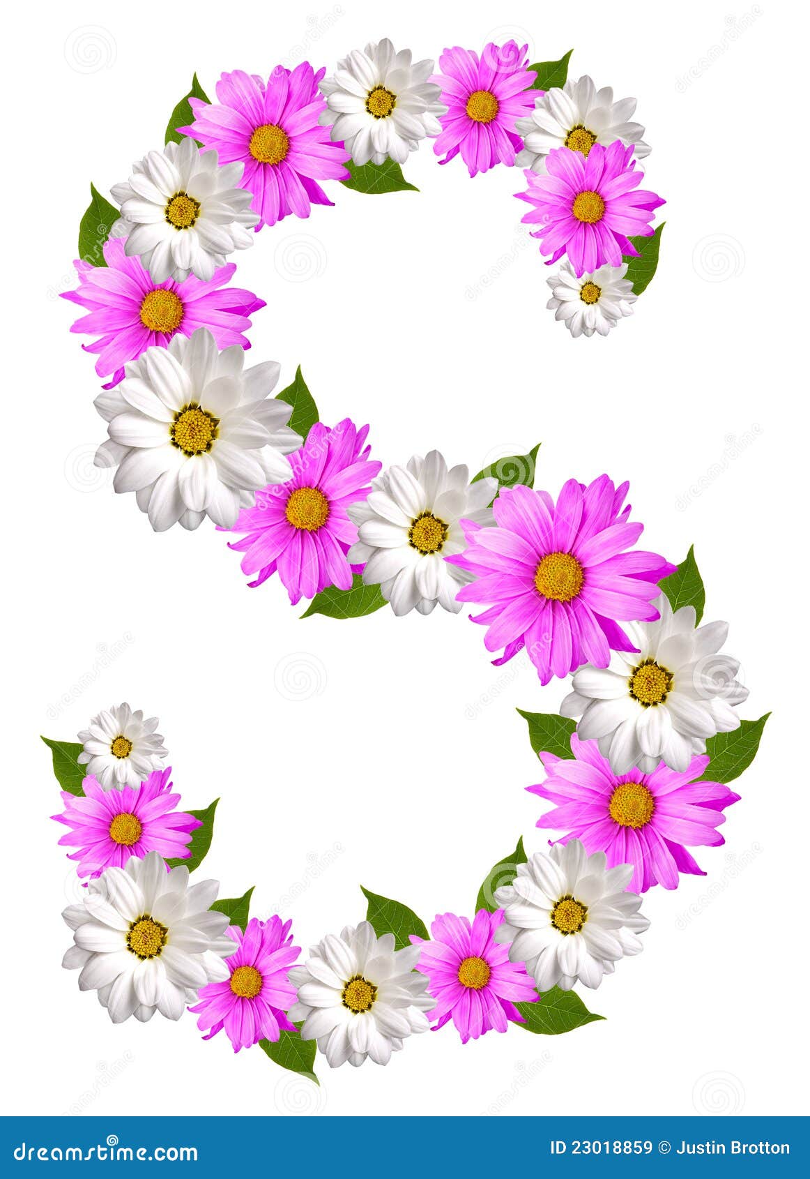 Spring S stock image. Image of yellow, opening, seasonal - 23018859