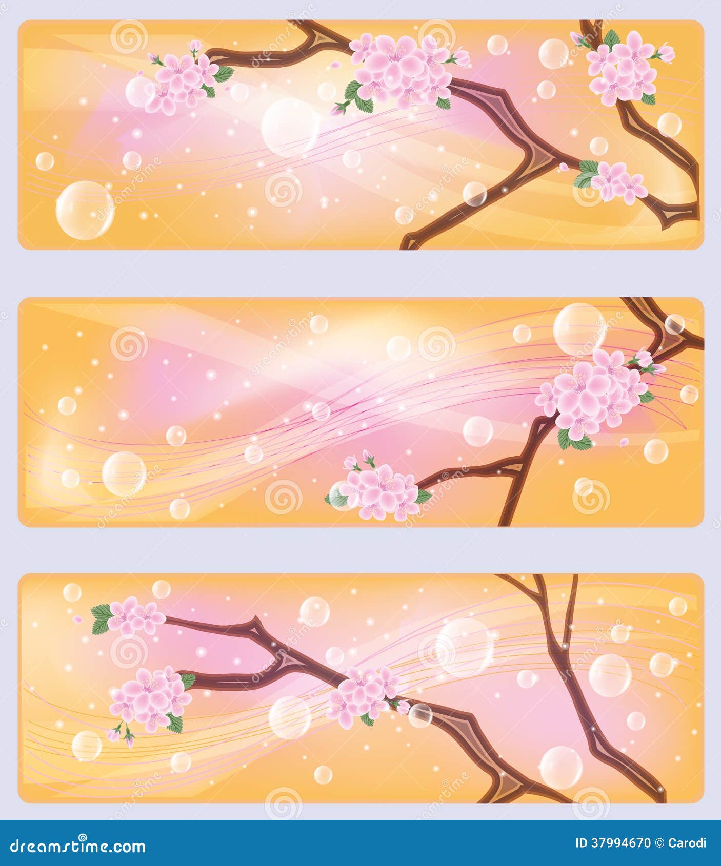 Spring Sakura Flowers Banners Stock Illustration - Illustration of ...