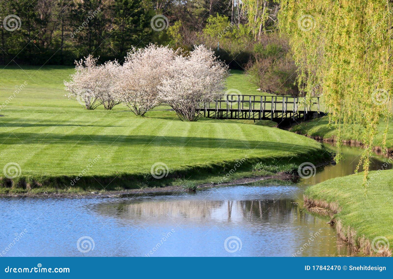 Spring scene stock photo. Image of scenery, background - 17842470