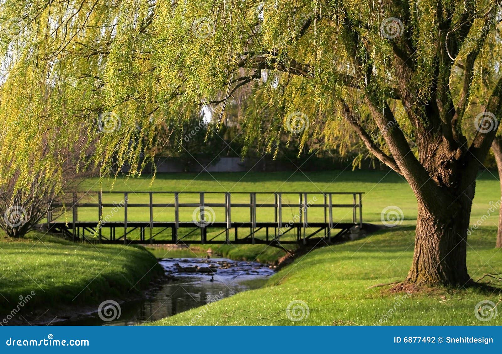 Spring Scene stock photo. Image of tree, countryside, nature - 6877492