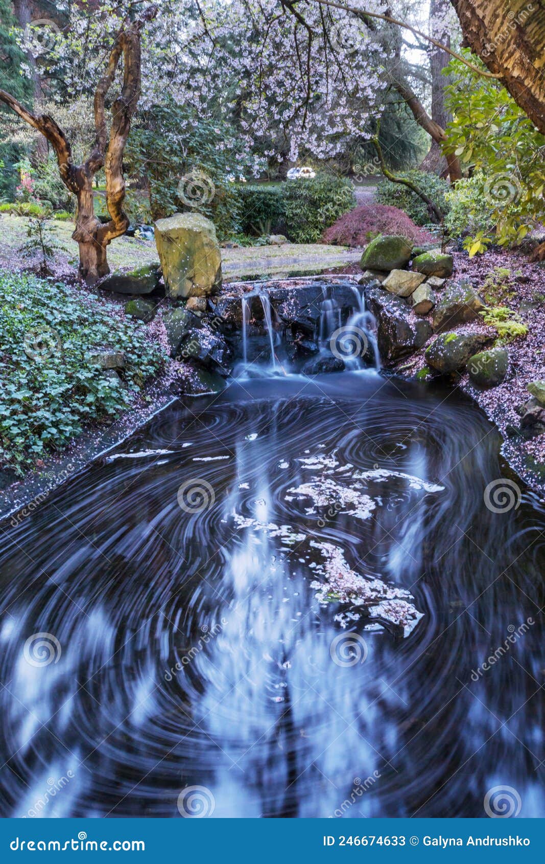 Spring garden stock image. Image of country, horticulture - 246674633