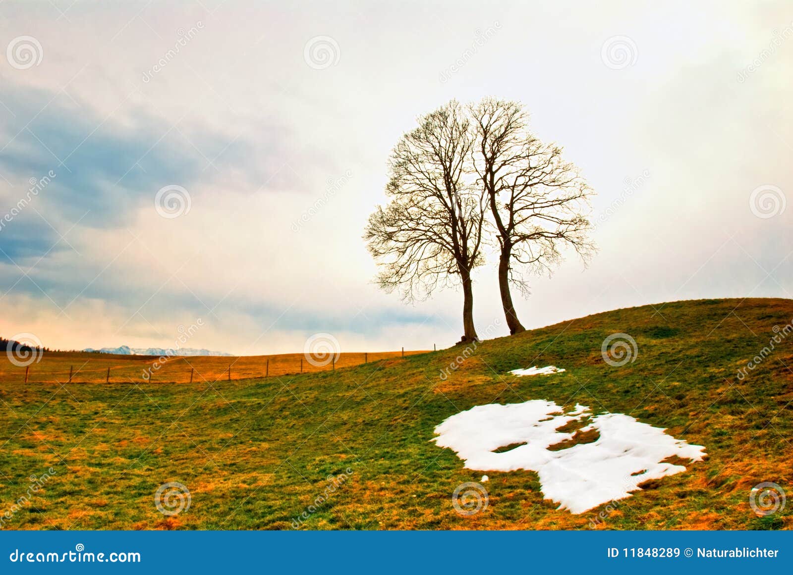 Spring scenery stock image. Image of fields, meadows - 11848289