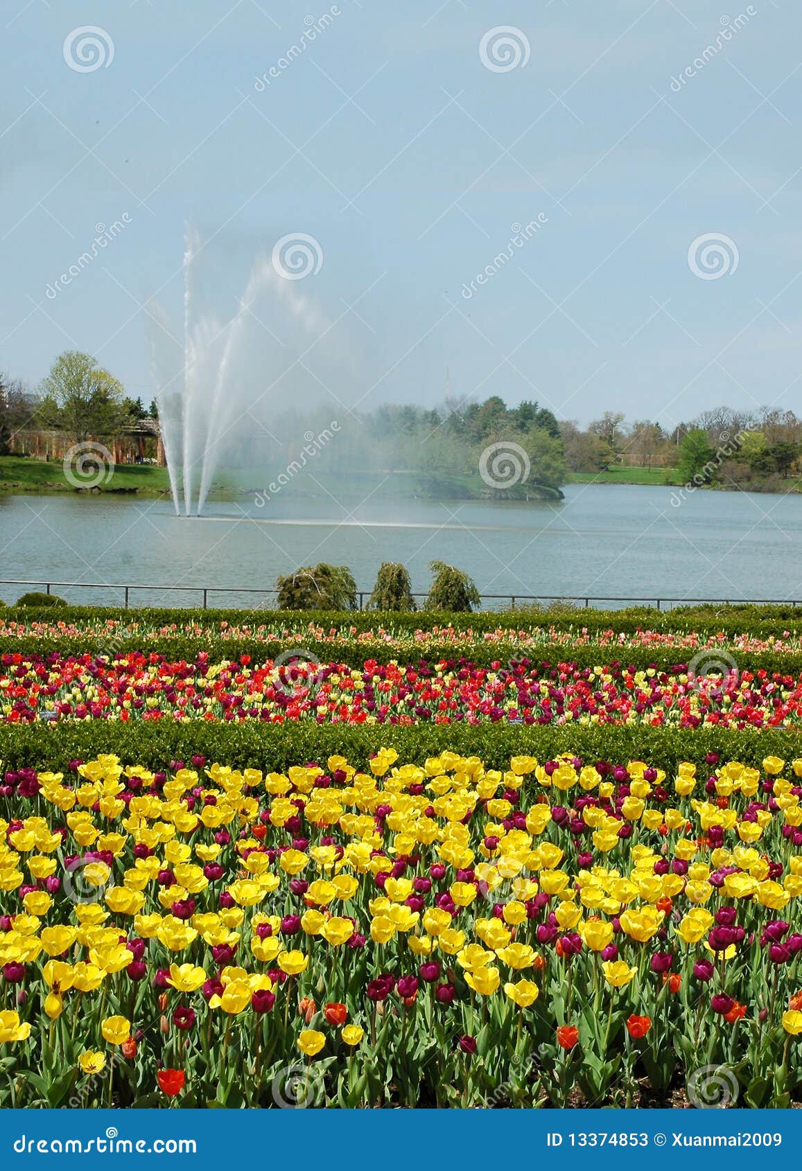 Spring scenery stock image. Image of water, spring, decoration - 13374853