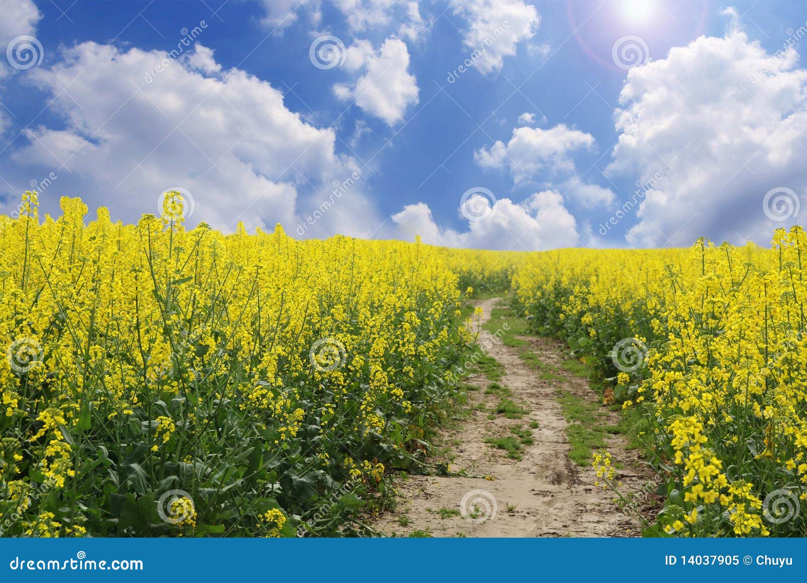 Spring Scenery Of Dolomites With View Of A Lovely Church At The ...