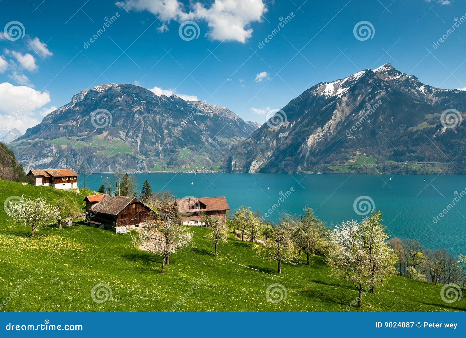 Spring Scenery at Lake Lucern Stock Image - Image of swiss, green: 9024087