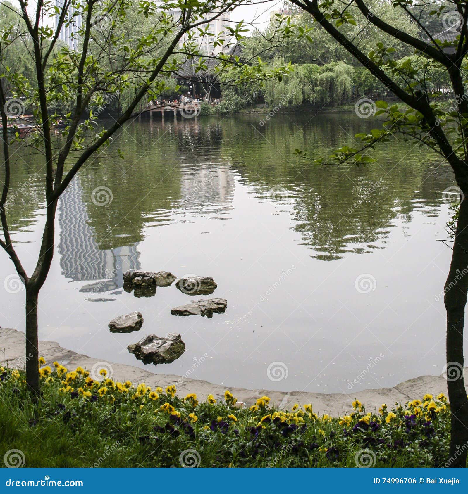 Spring Scenery in a Park,chengdu,china Editorial Photo - Image of ...