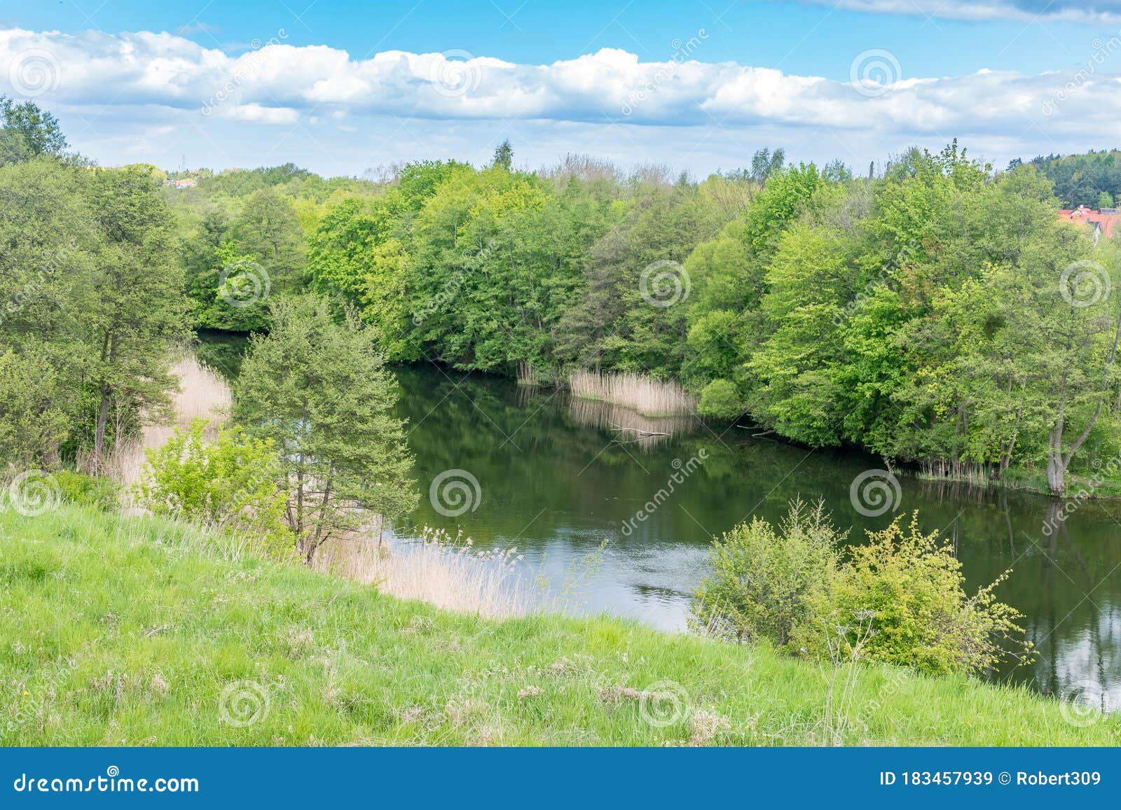 Spring Scenery of Radunia River Stock Image - Image of hill, seasonal ...
