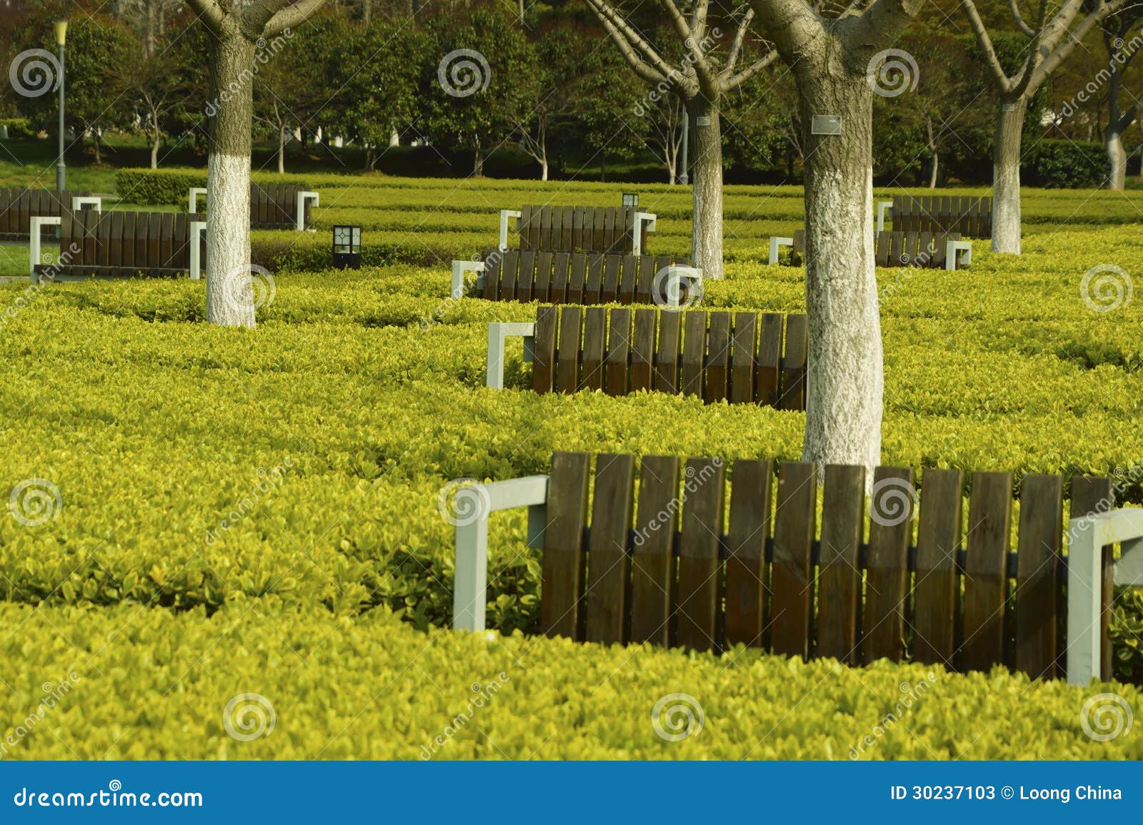 Seats in the Bush stock image. Image of freshness, gardening - 30237103