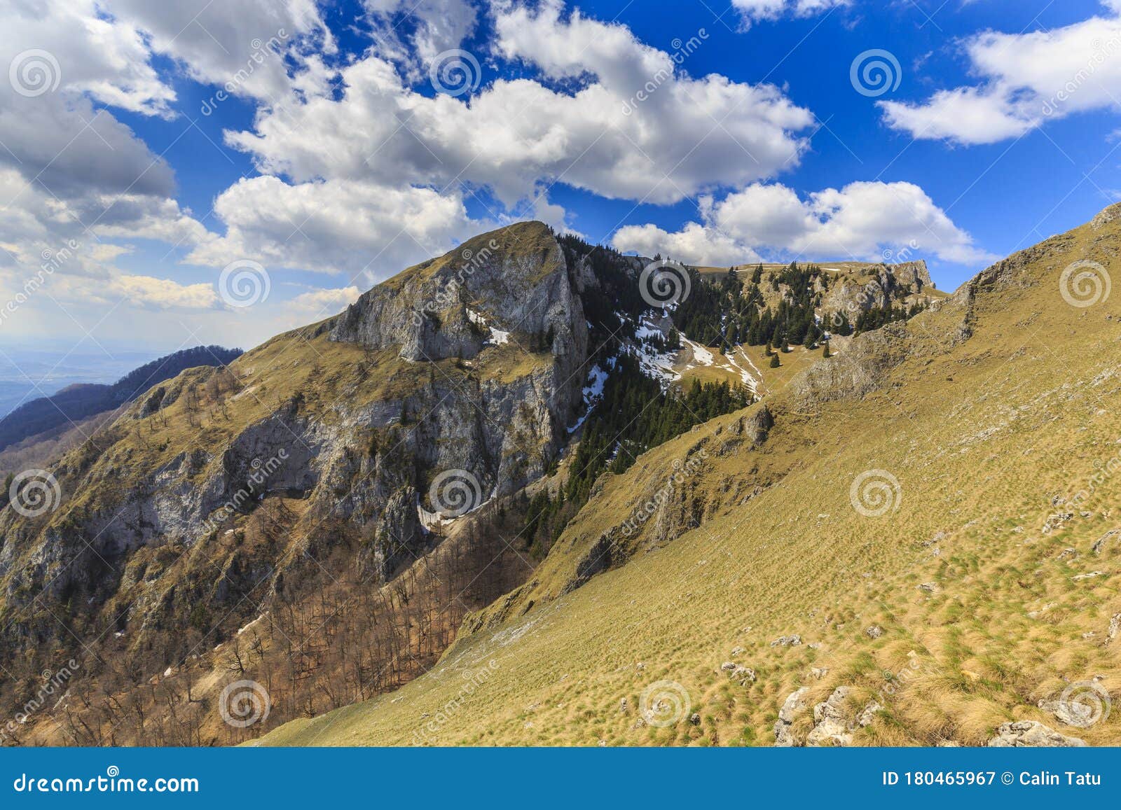 Spring Scenery in the Transylvanian Alps, with Snow and Pine Forests ...