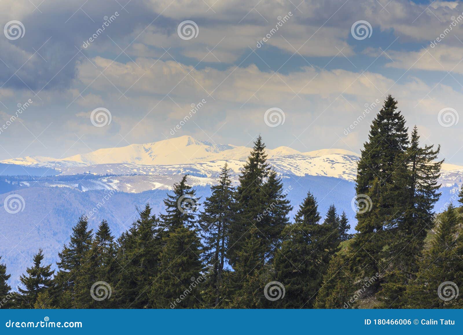 Spring Scenery in the Transylvanian Alps, with Snow and Pine Forests ...