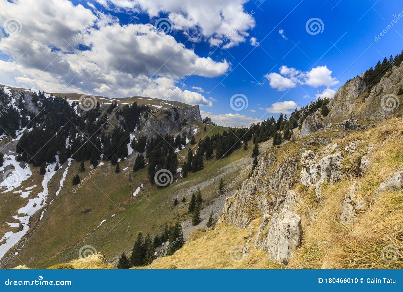 Spring Scenery in the Transylvanian Alps, with Snow and Pine Forests ...