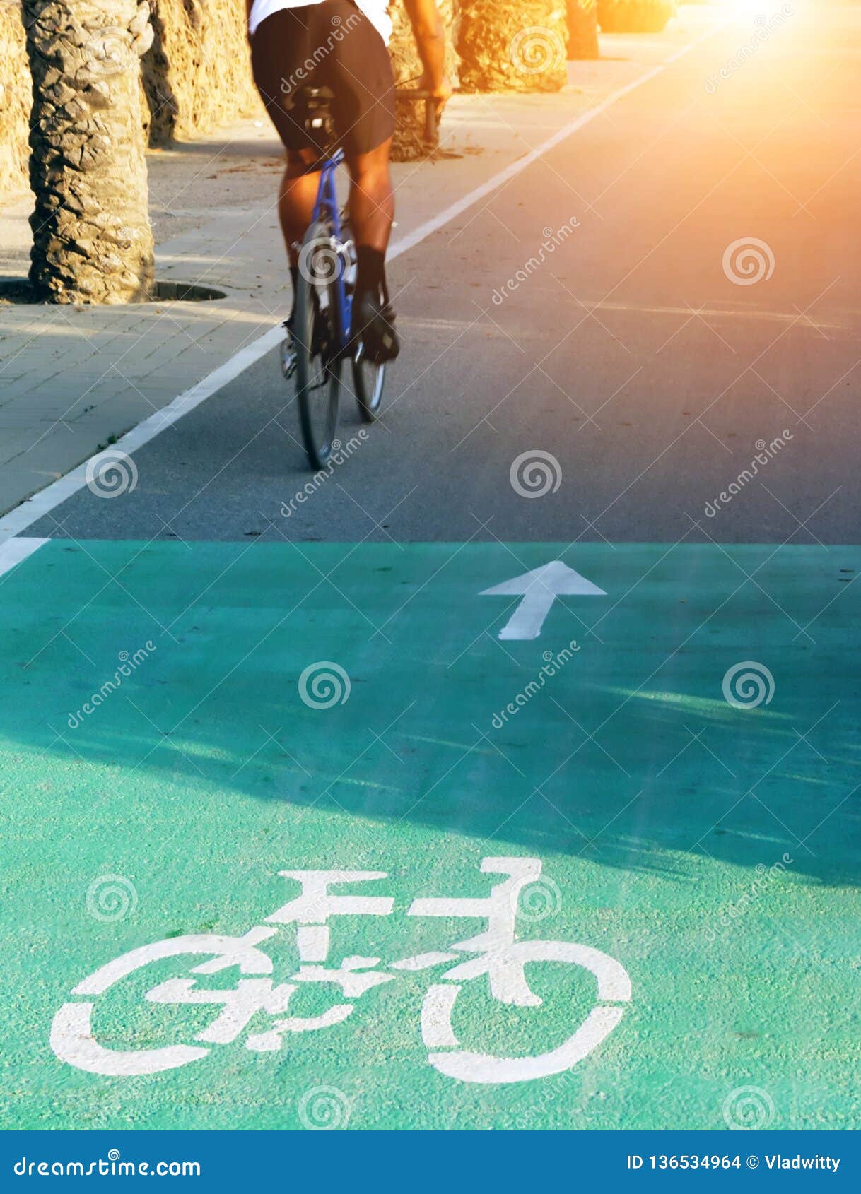 Spring Scenes Sunset Riding Bicycle Stock Photo - Image of helmet ...