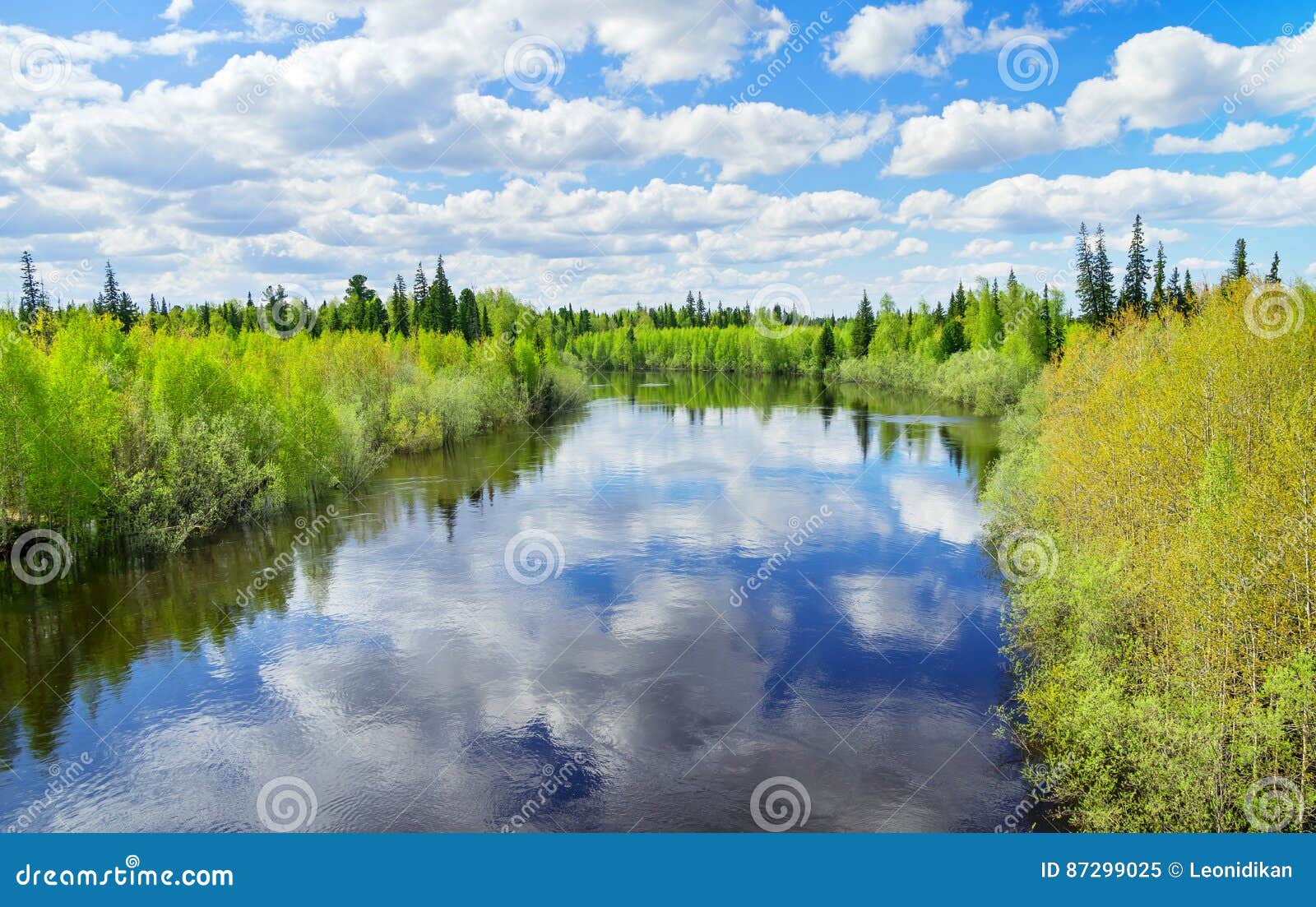 Spring scenic landscape stock image. Image of life, beauty - 87299025