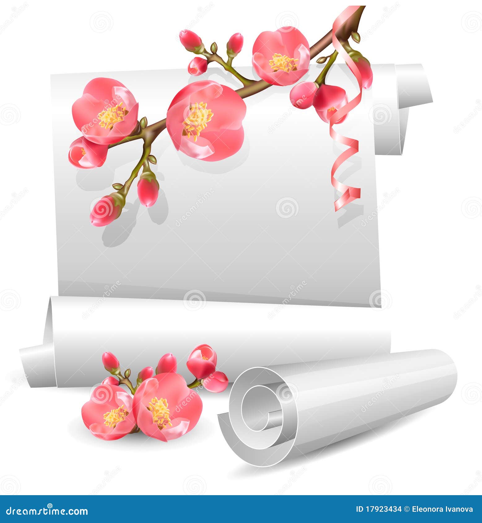Spring Scrolls with Flowering Quince. Stock Vector - Illustration of ...
