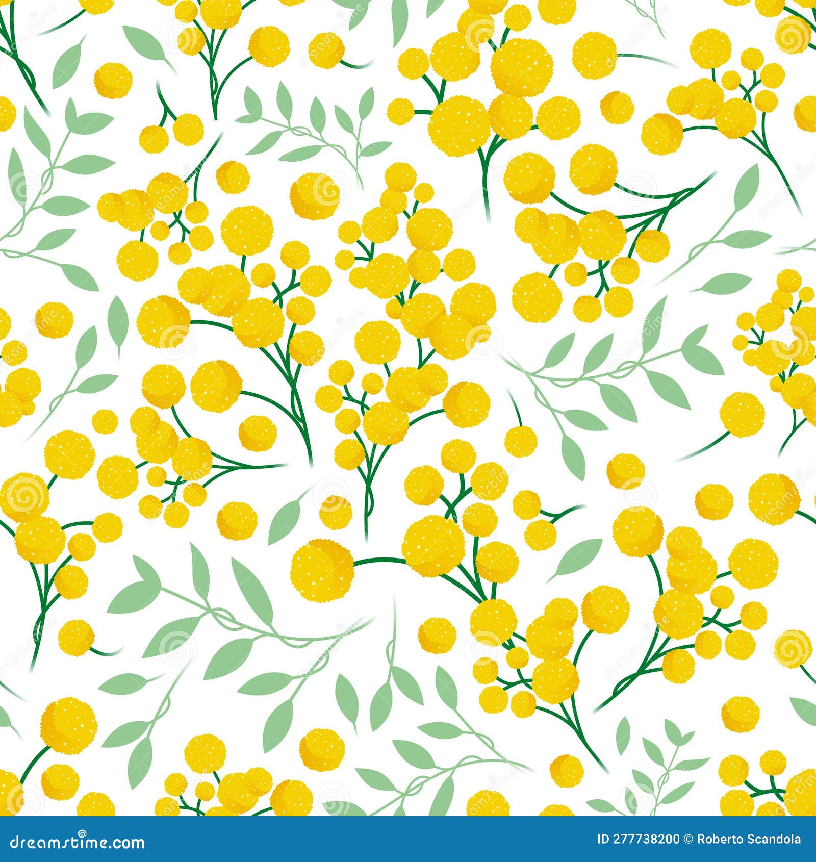 124 Mimosa Vector Stock Photos - Free & Royalty-Free Stock Photos from ...