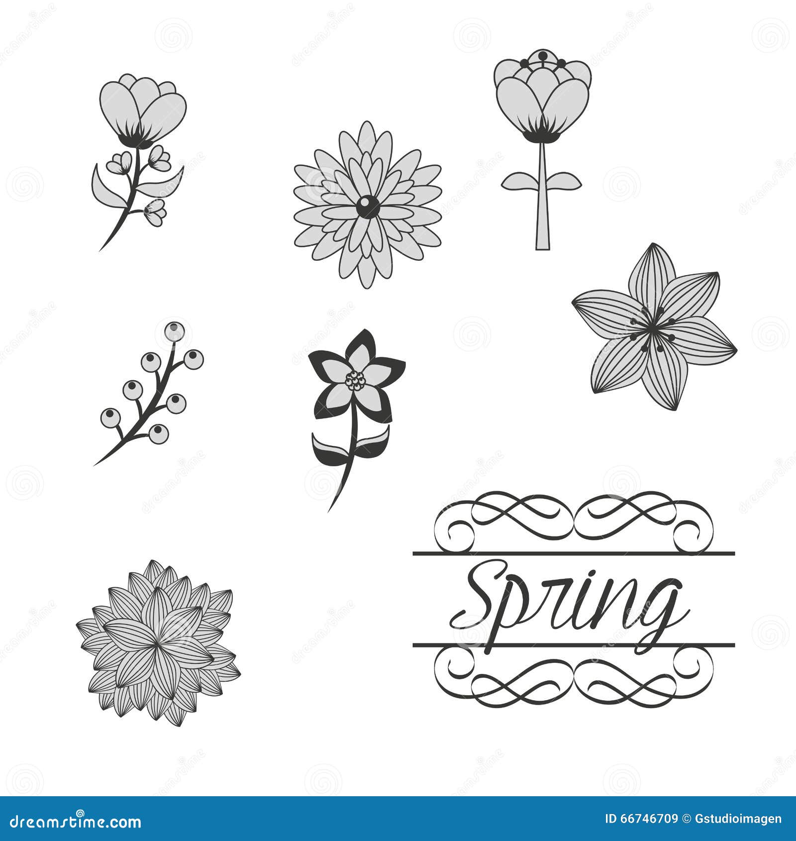 Spring season design stock vector. Illustration of floral - 66746709