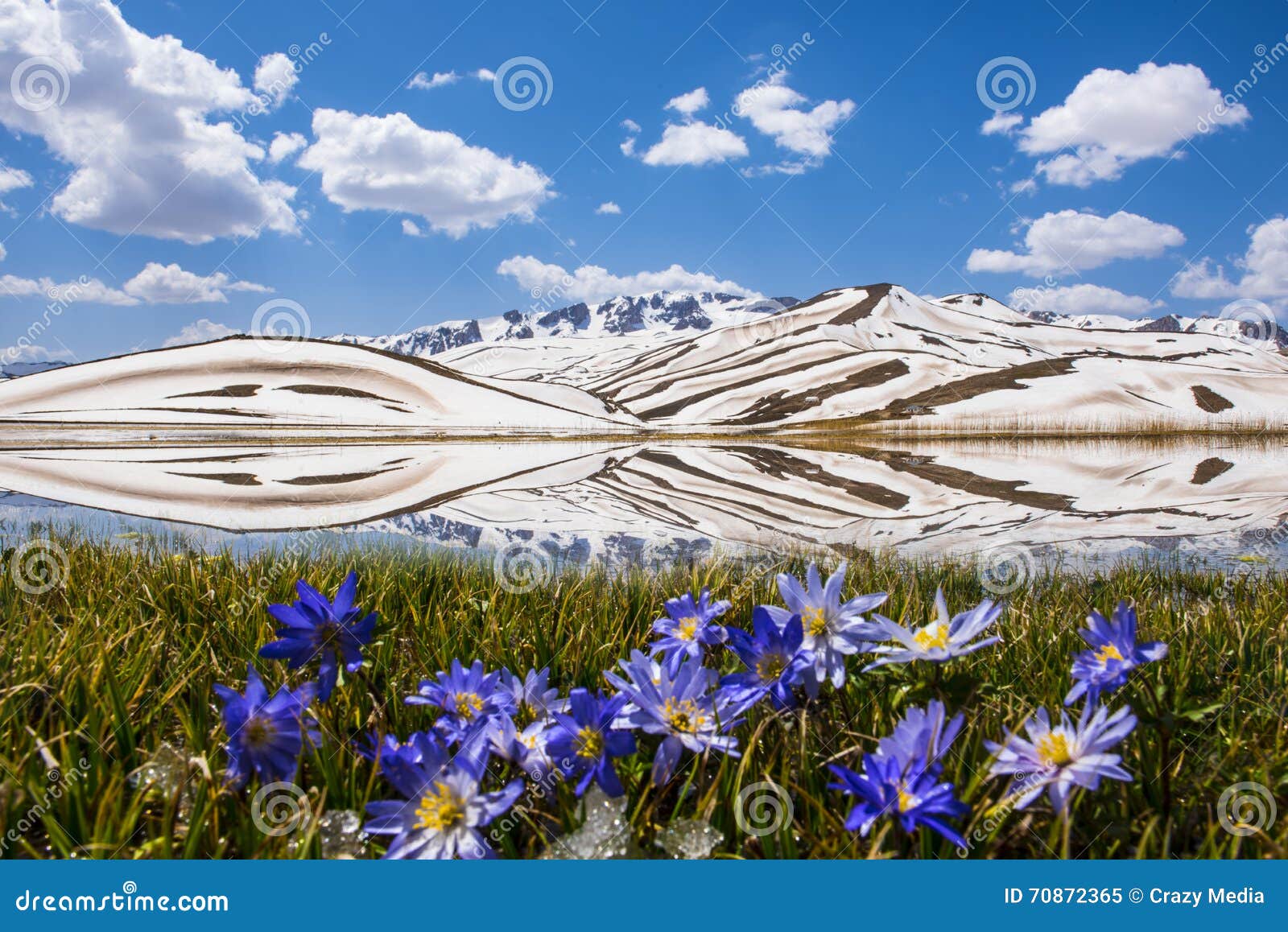 Spring Season Features High in the Mountains Stock Image - Image of ...