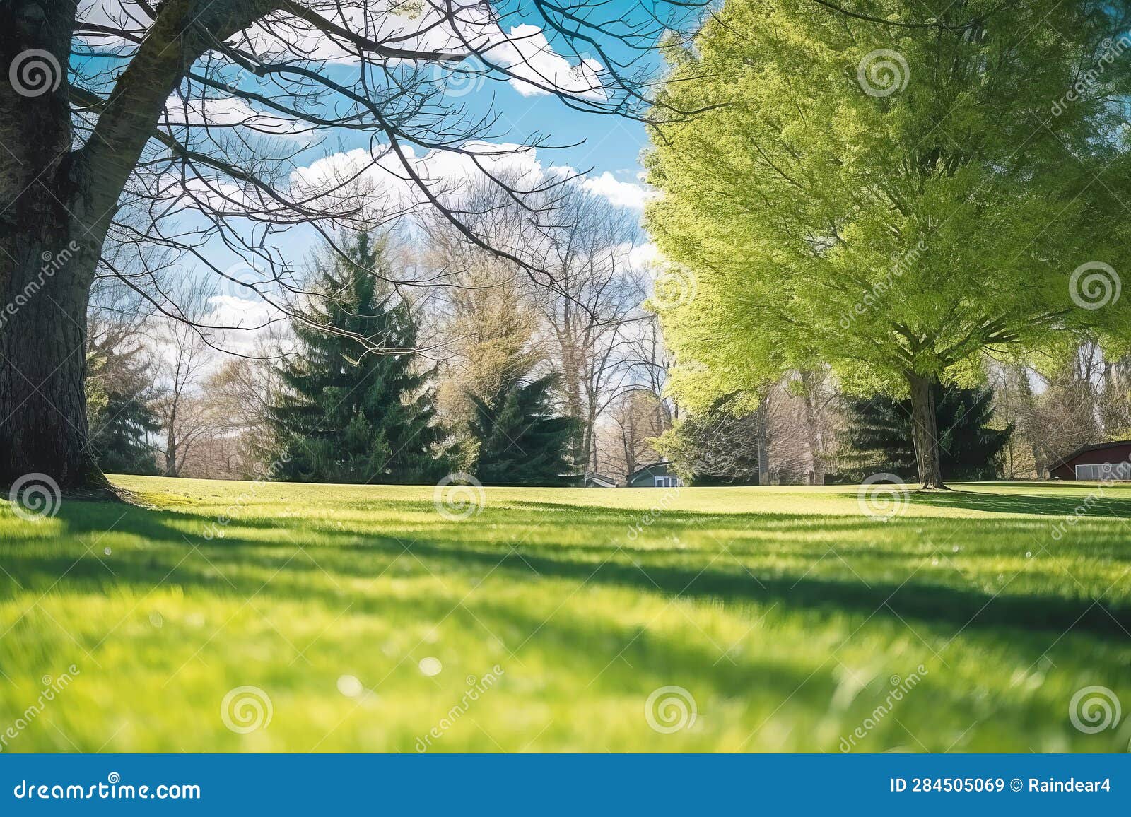 Spring Season in the Park, Tree and Nature Stock Image - Image of park ...