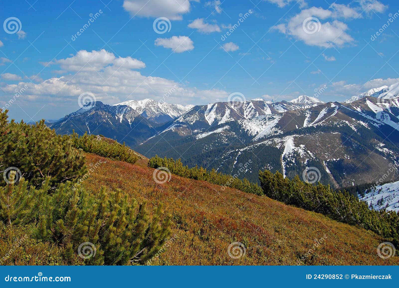 Spring Season in Tatra Mountains, Poland Stock Photo - Image of ...