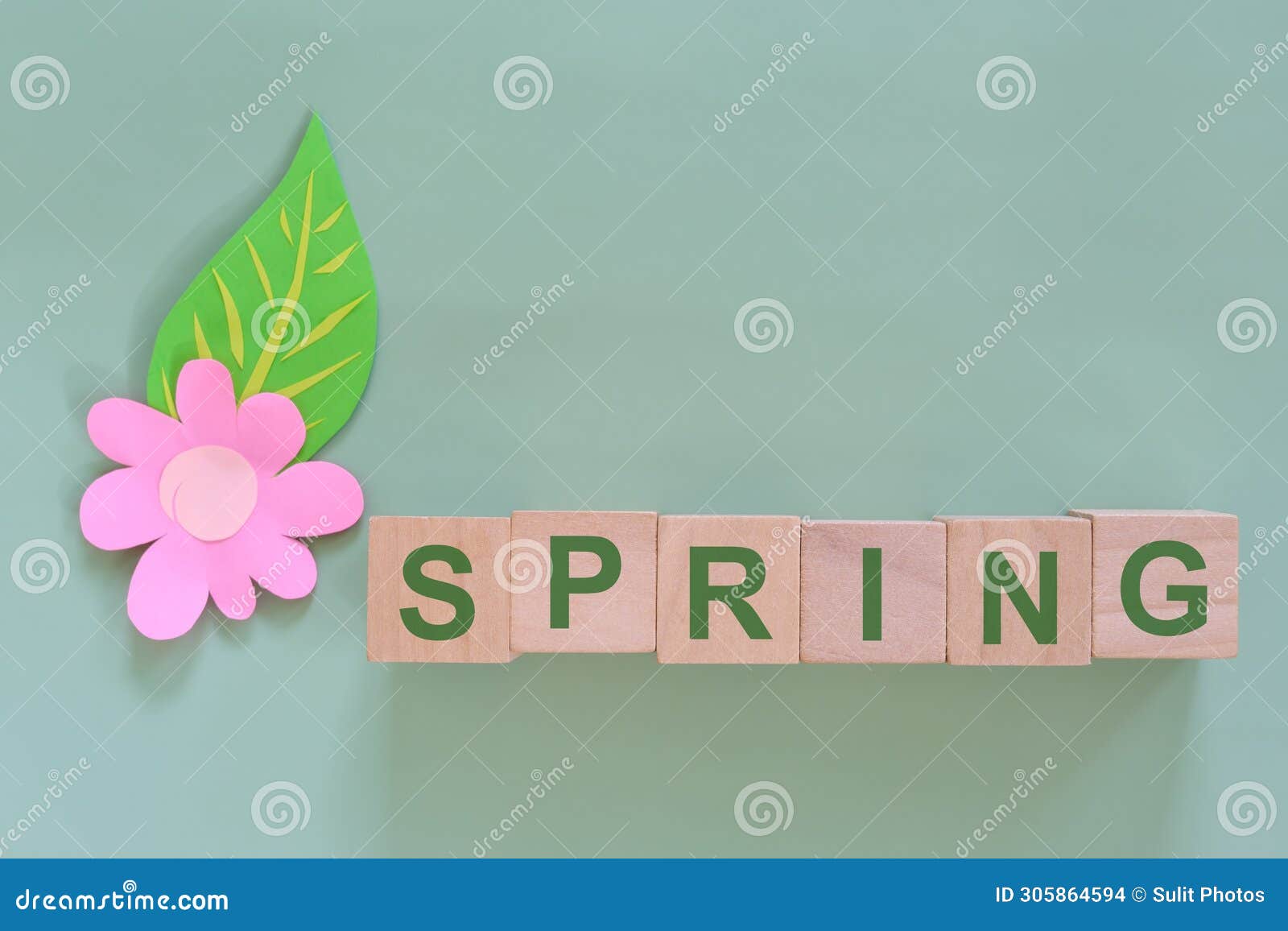 Spring Season Word Typography in Minimalist Green Backdrop with Leaf ...
