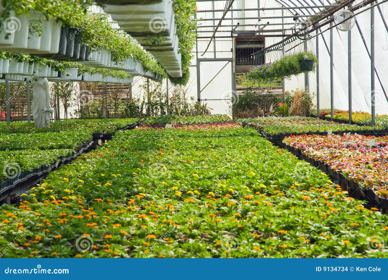 Spring Seedlings. Cucumber Seedlings In Peat Pots In Male Hands In A ...