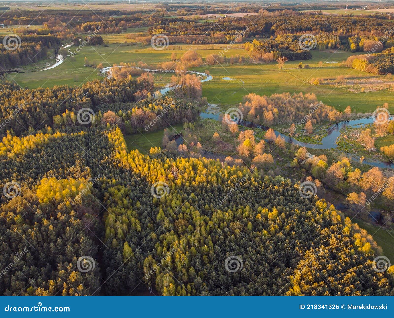 Spring Seen from Above, with Lots of Trees and a Small River. Stock ...