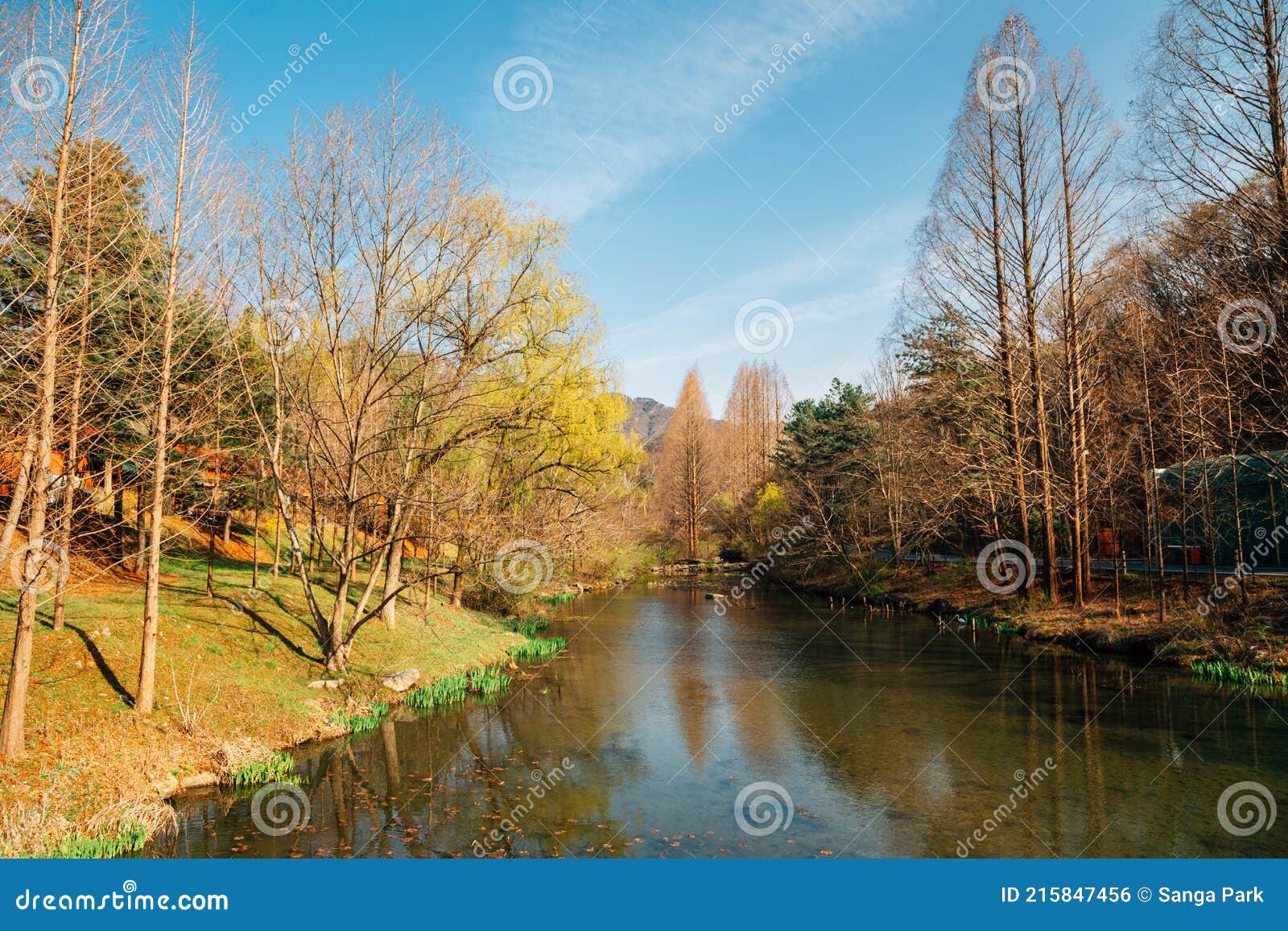Spring of Seoul Grand Park in Gwacheon, Korea Stock Photo - Image of ...
