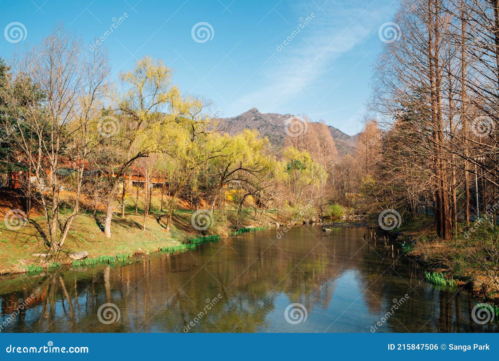 Spring of Seoul Grand Park in Gwacheon, Korea Stock Photo - Image of ...
