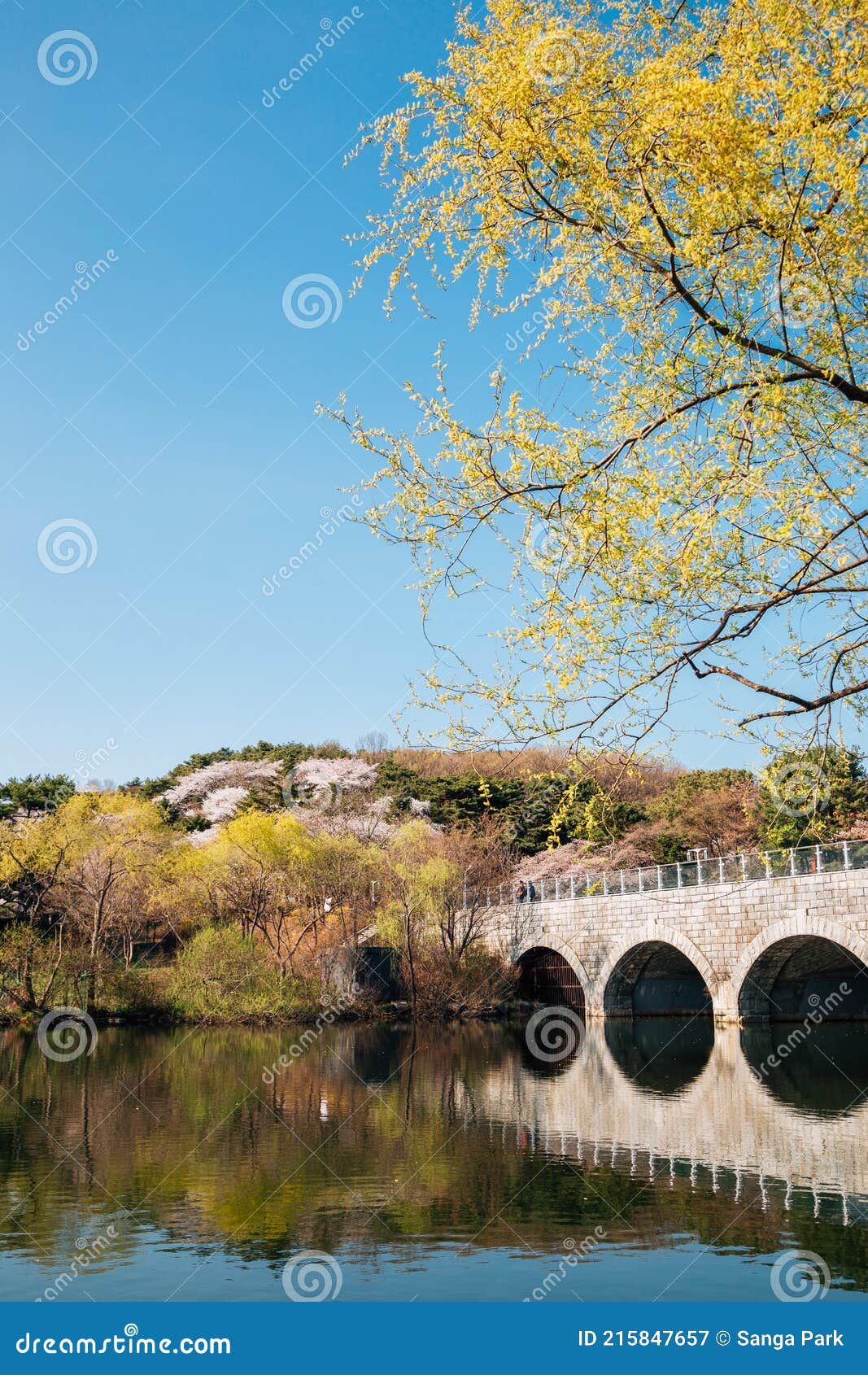 Spring of Seoul Grand Park in Gwacheon, Korea Stock Image - Image of ...