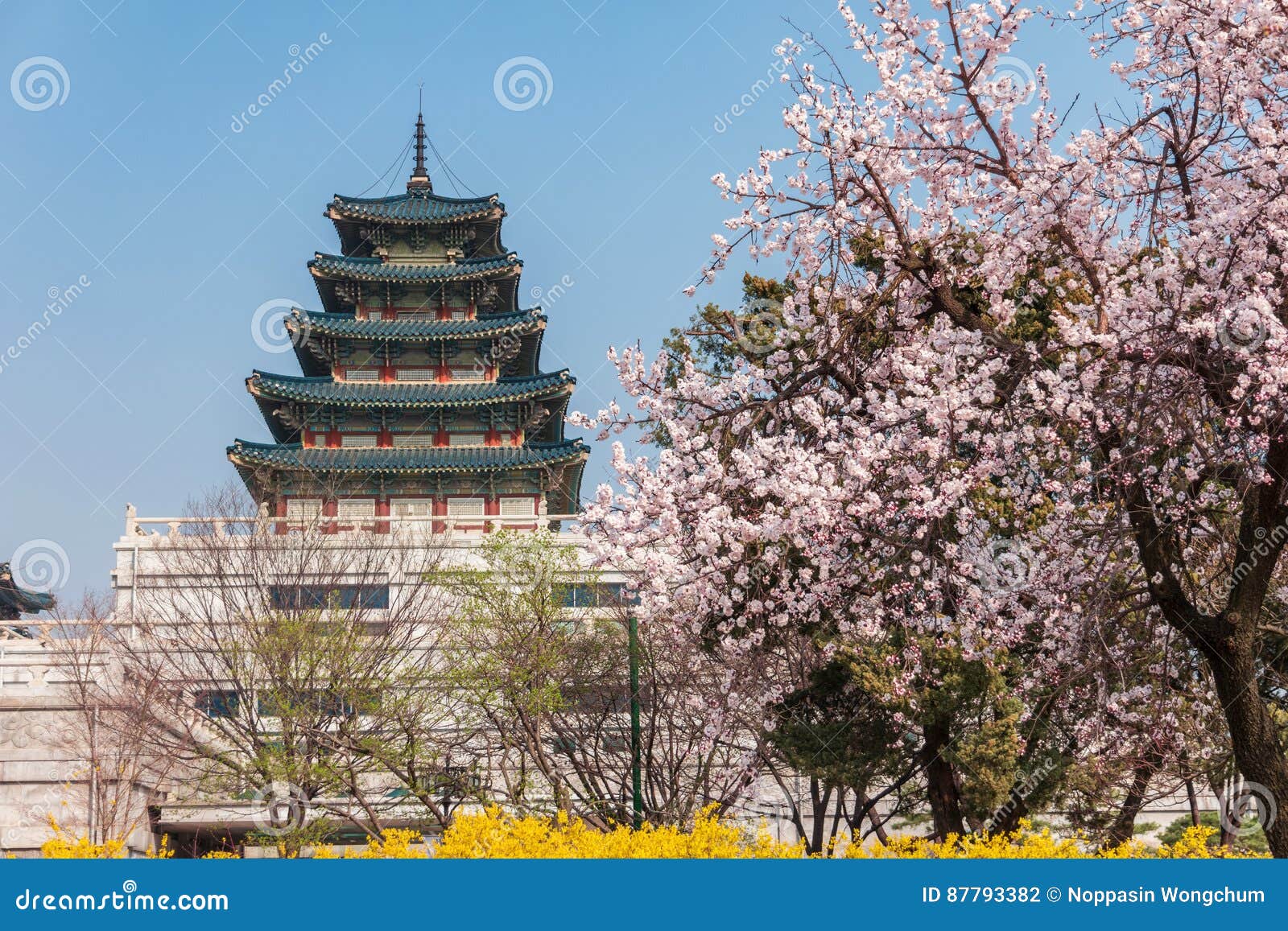 Spring in Seoul South Korea Stock Photo - Image of attraction, building ...
