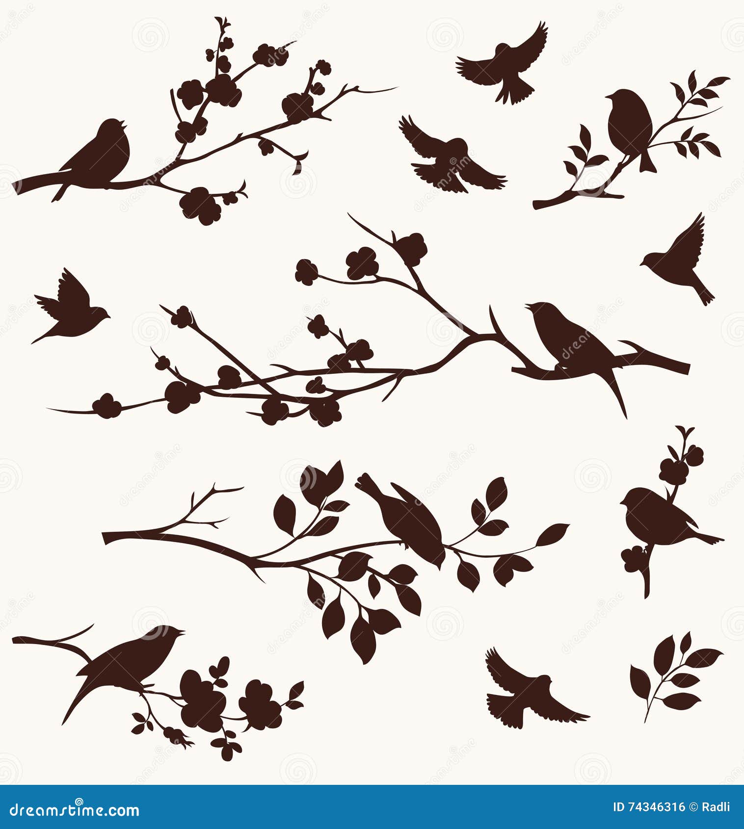 Spring Set of Bird and Twigs Silhouettes. Floral Branches with Birds ...